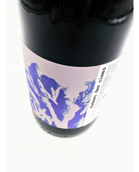 Radeau des cimes 2019 - LES ERRANCES